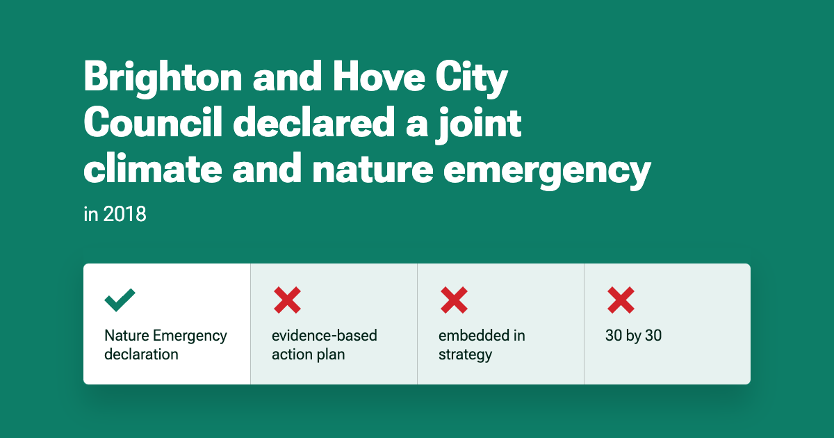 Brighton and Hove City Council | Nature Emergency
