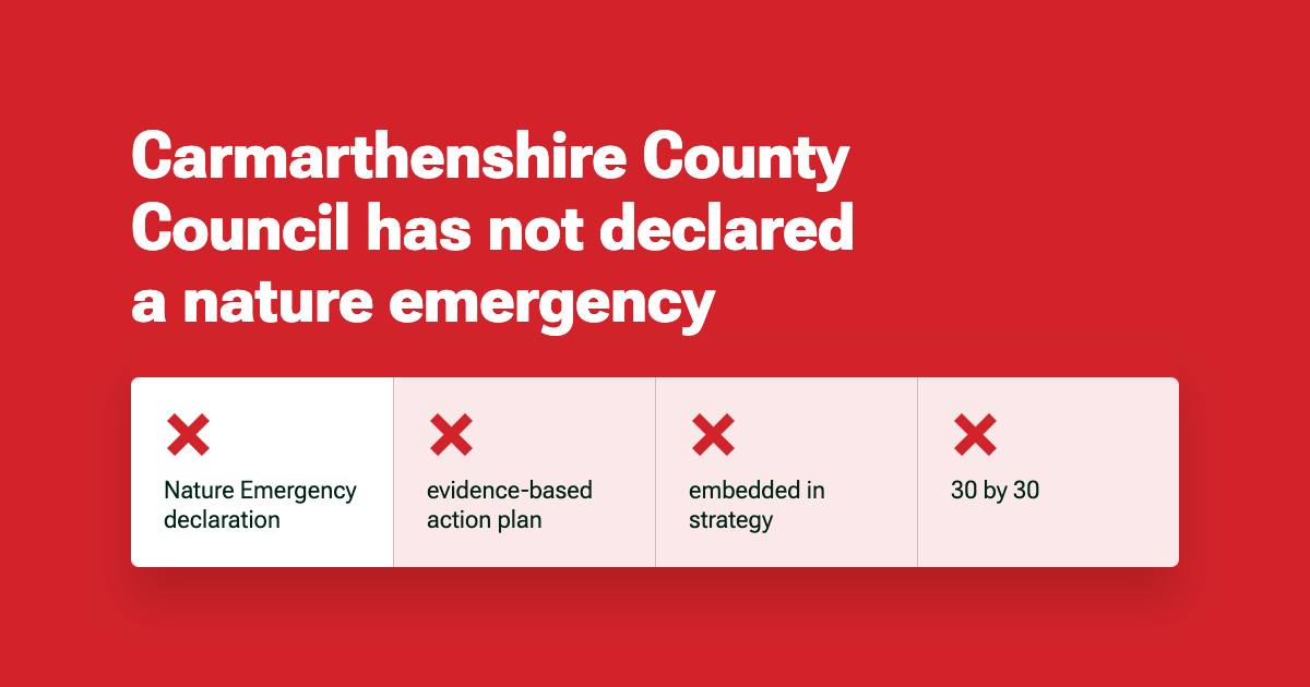 Carmarthenshire County Council | Nature Emergency