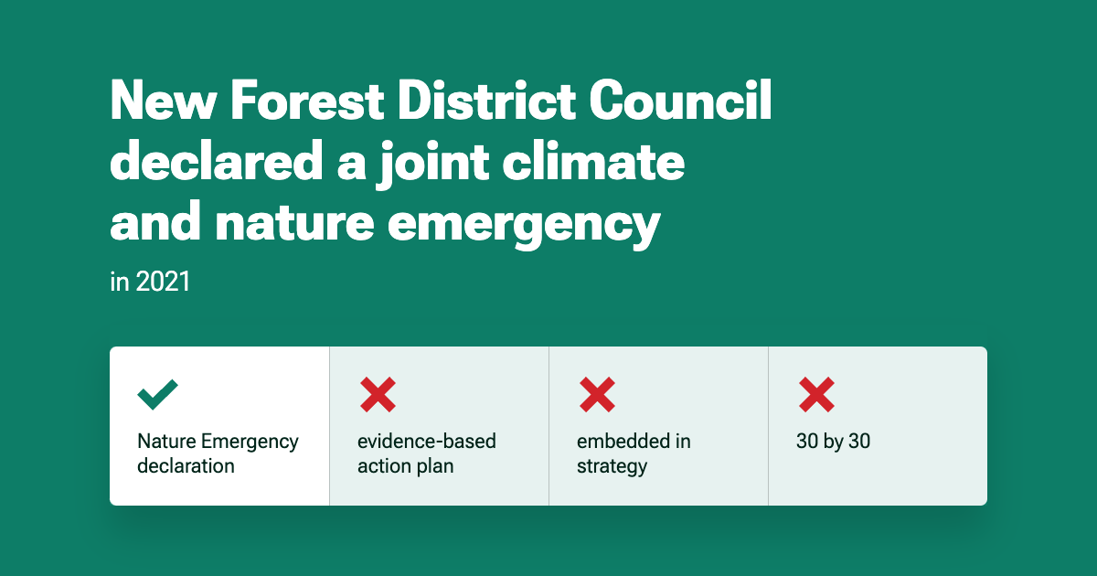 New Forest District Council | Nature Emergency