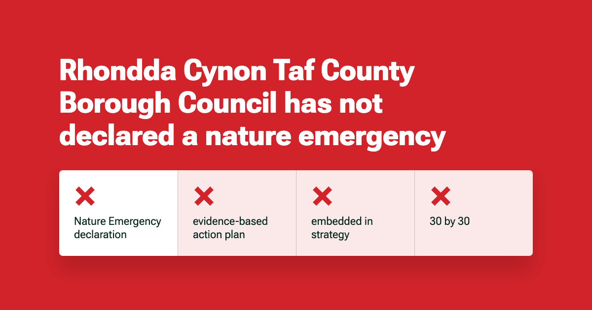Rhondda Cynon Taf County Borough Council | Nature Emergency
