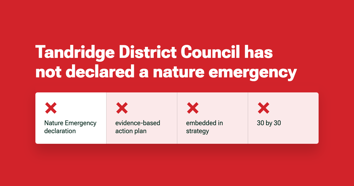 Tandridge District Council | Nature Emergency